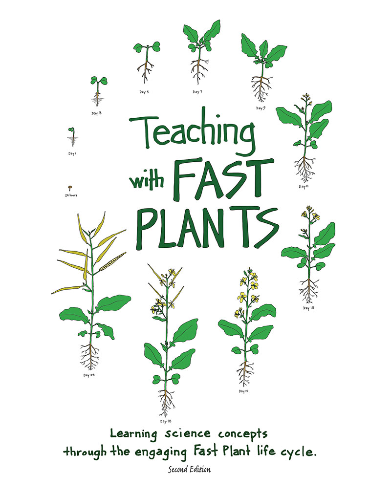 Projeto FAST PLANTS Kidlink – ESTUDE PELA INTERNET